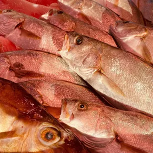 Poisson frais - Nos produits - POISSONNERIE KER LAURENT